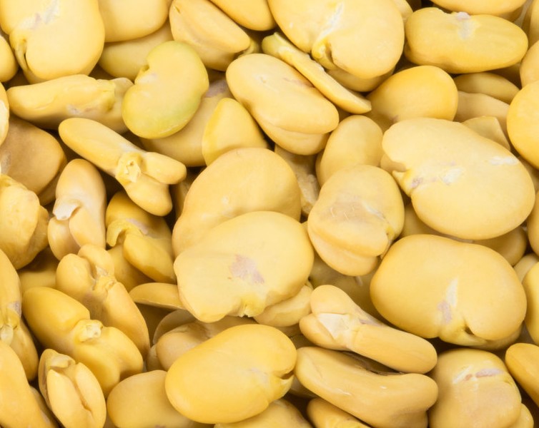 Fruit & Stuff for Healthy Living – plant facts, nutrients, recipes